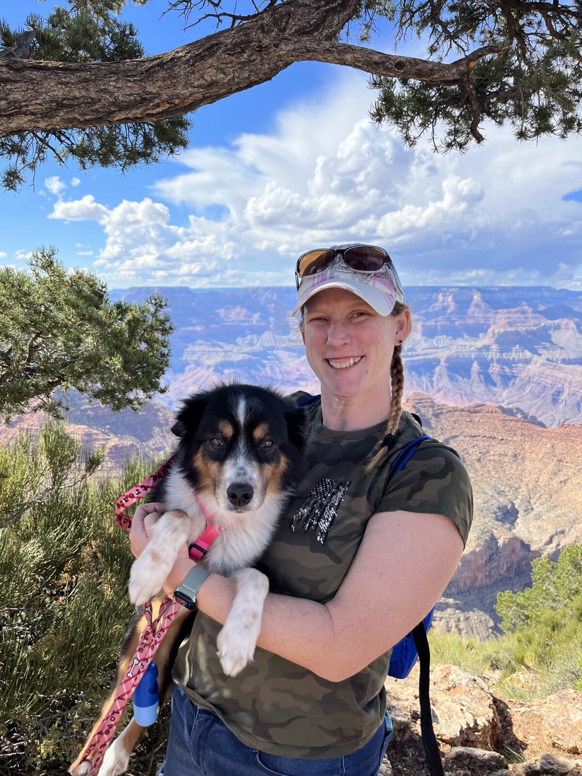 About Us - allpawsanimalhospital